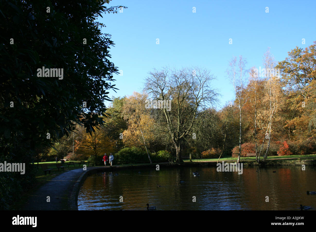Whitewebbs Lake Enfield Middlesex Stock Photo - Alamy