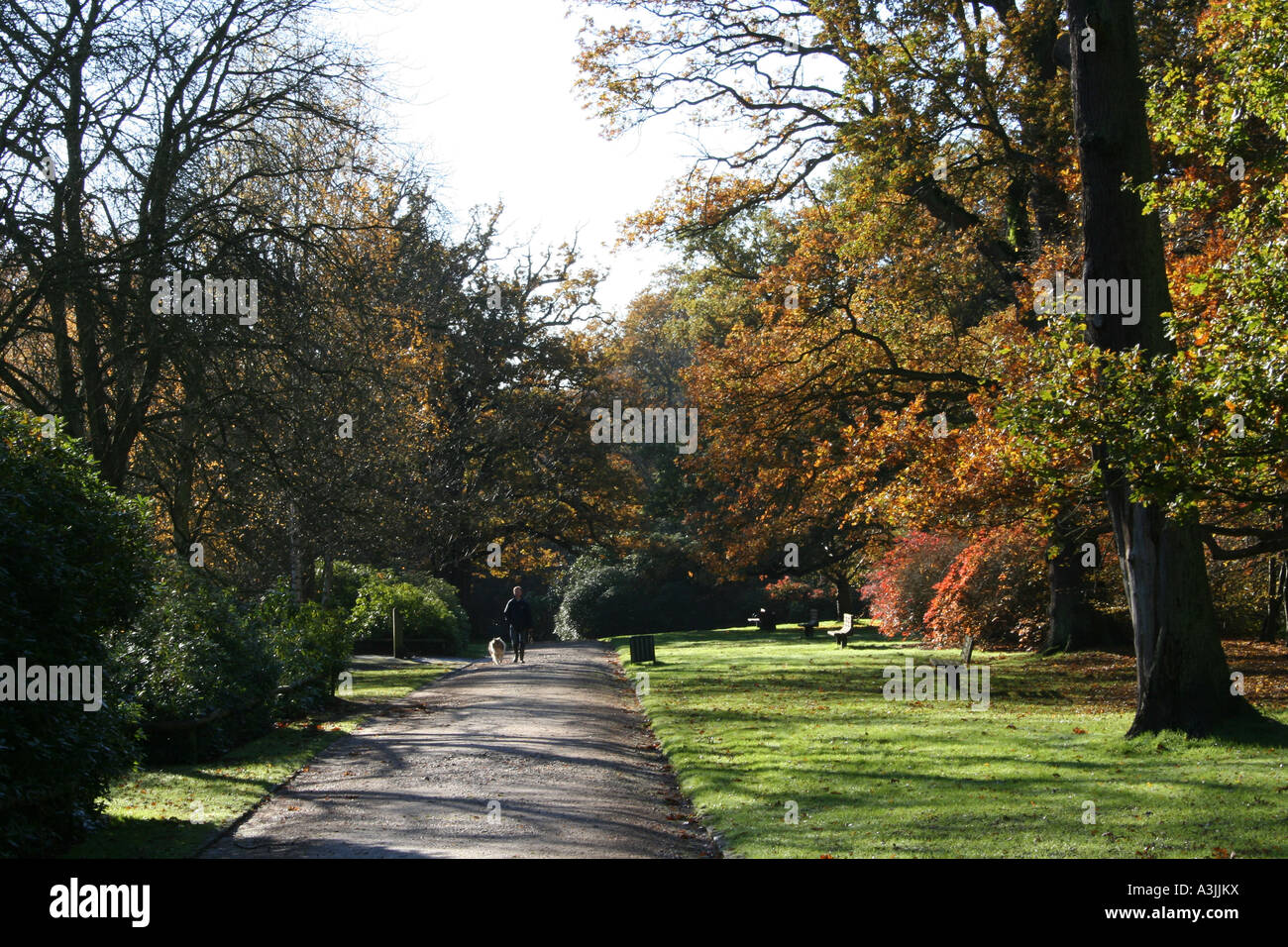 Whitewebbs park enfield middlesex Stock Photo - Alamy