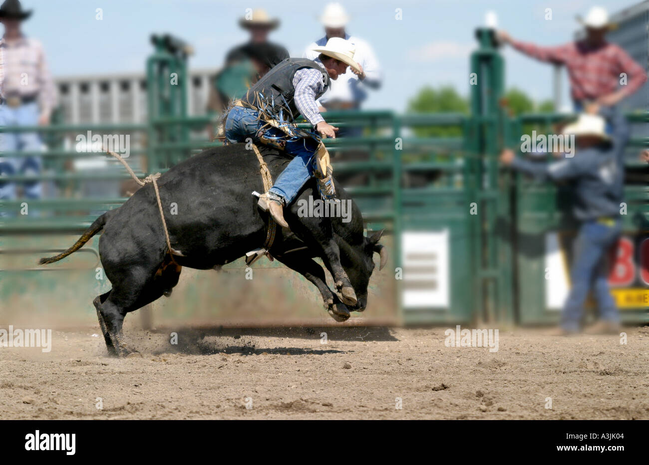 Rodeo Alberta Canada Bull Riding Stock Photo - Alamy