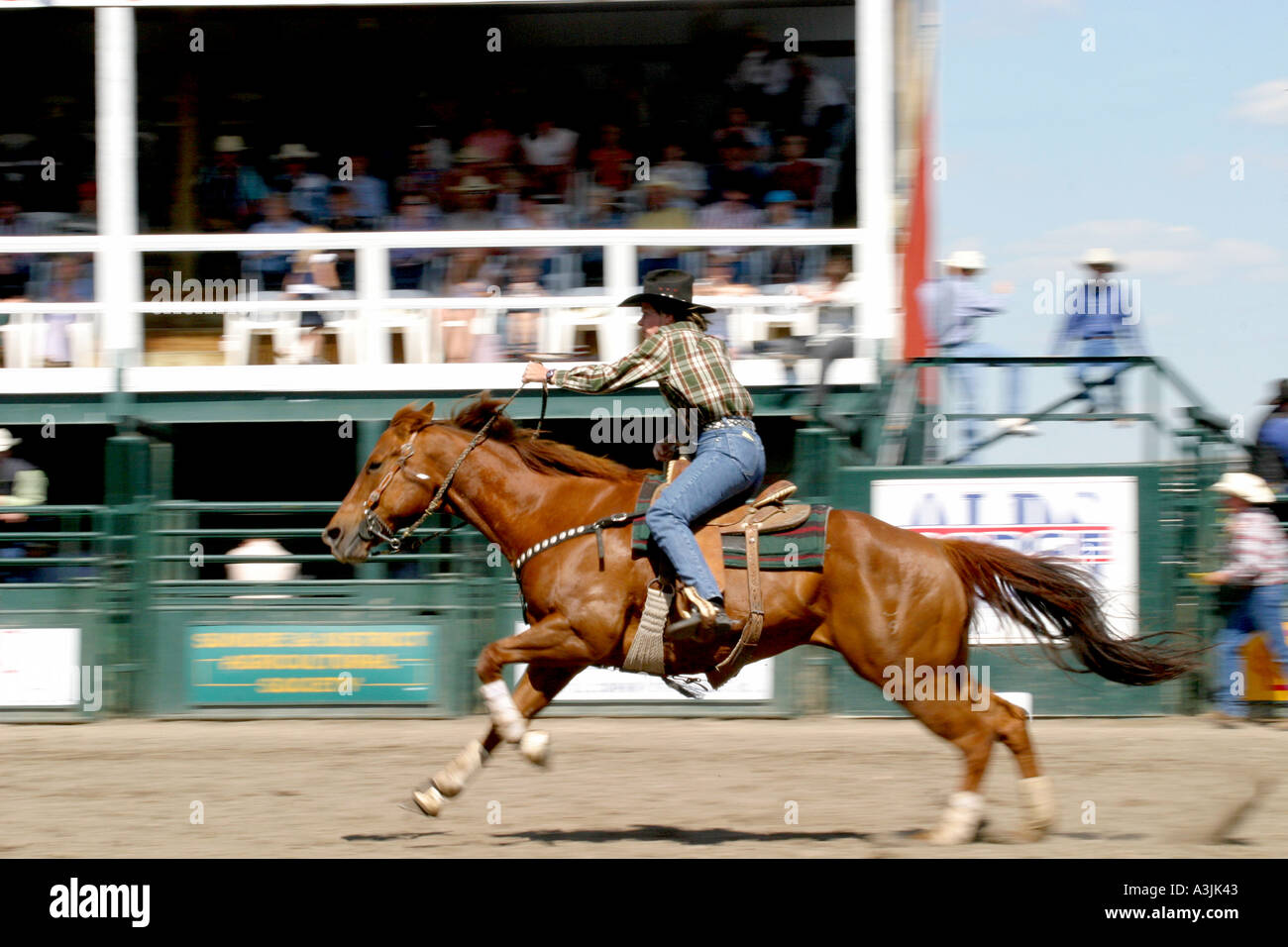 Rodeo Alberta Canada Barrel racing Stock Photo - Alamy