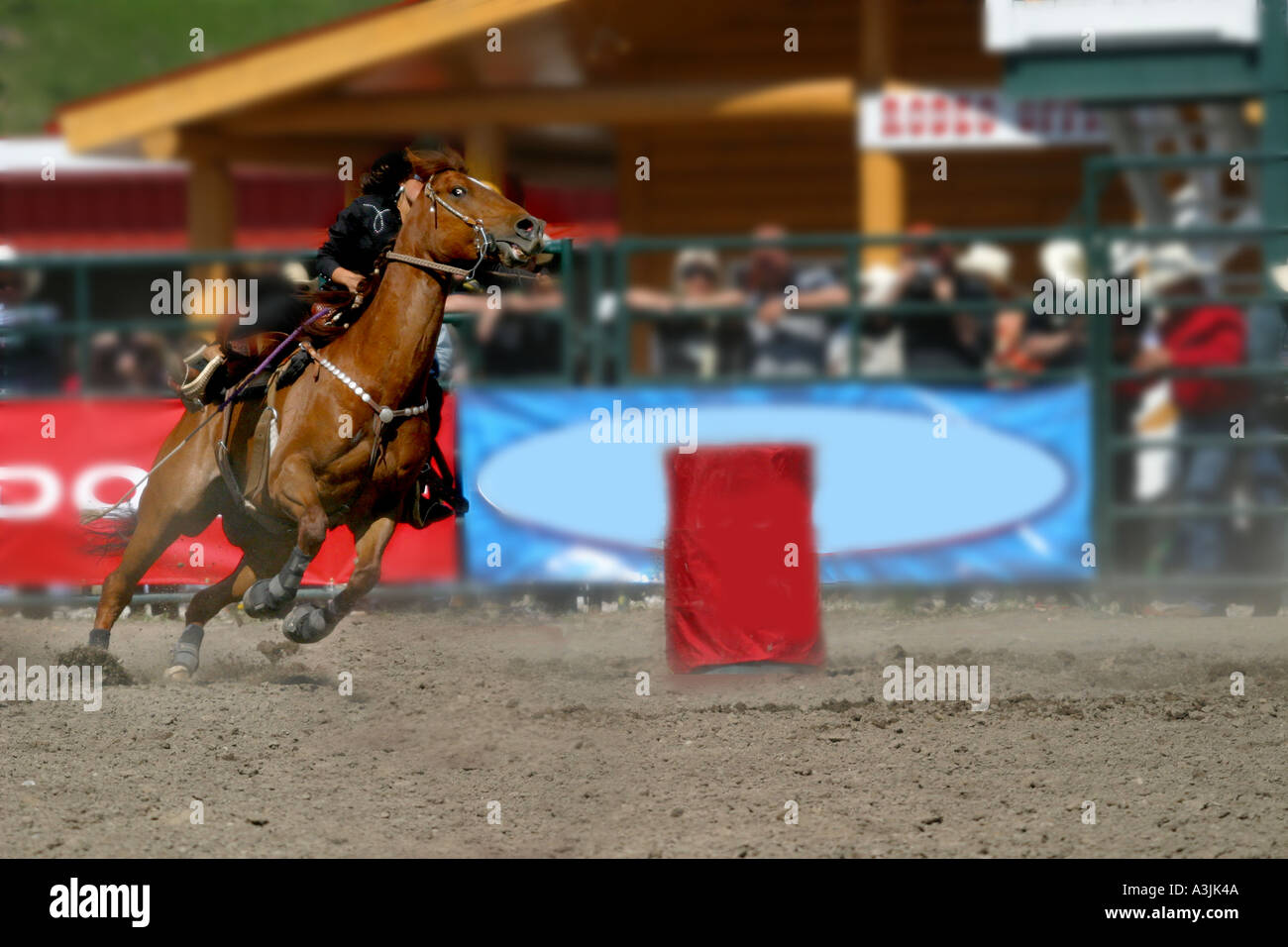 Rodeo Alberta Canada Barrel racing Stock Photo - Alamy