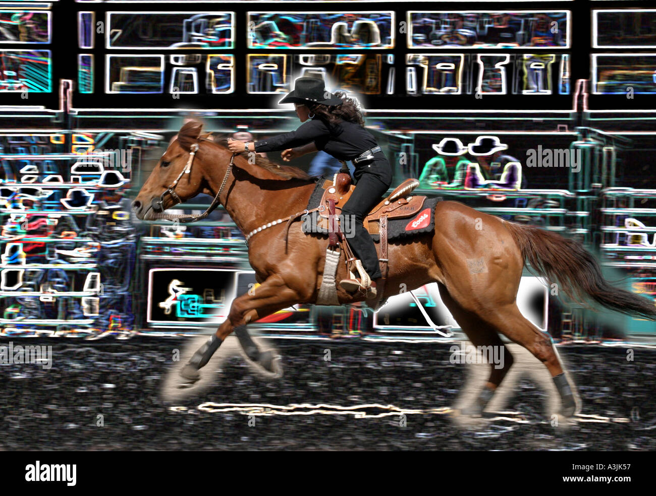 Calgary stampede cowboy cowgirl hi-res stock photography and images - Alamy