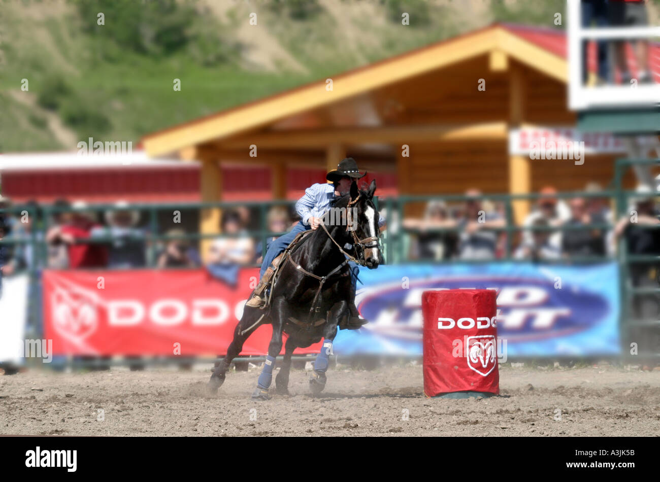 Calgary stampede cowboy cowgirl hi-res stock photography and images - Alamy