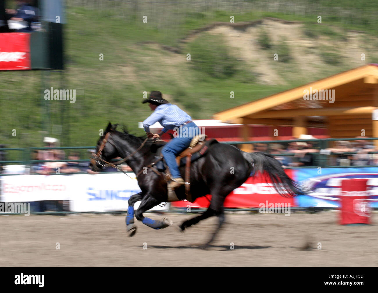 Calgary stampede cowboy cowgirl hi-res stock photography and images - Alamy