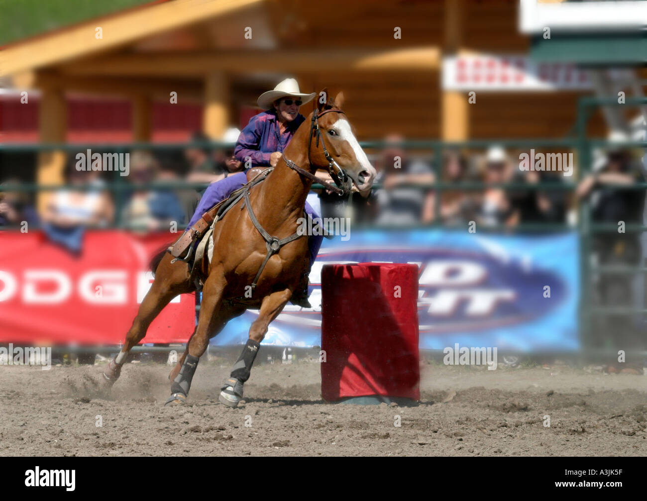 Rodeo Alberta Canada Barrel racing Stock Photo - Alamy