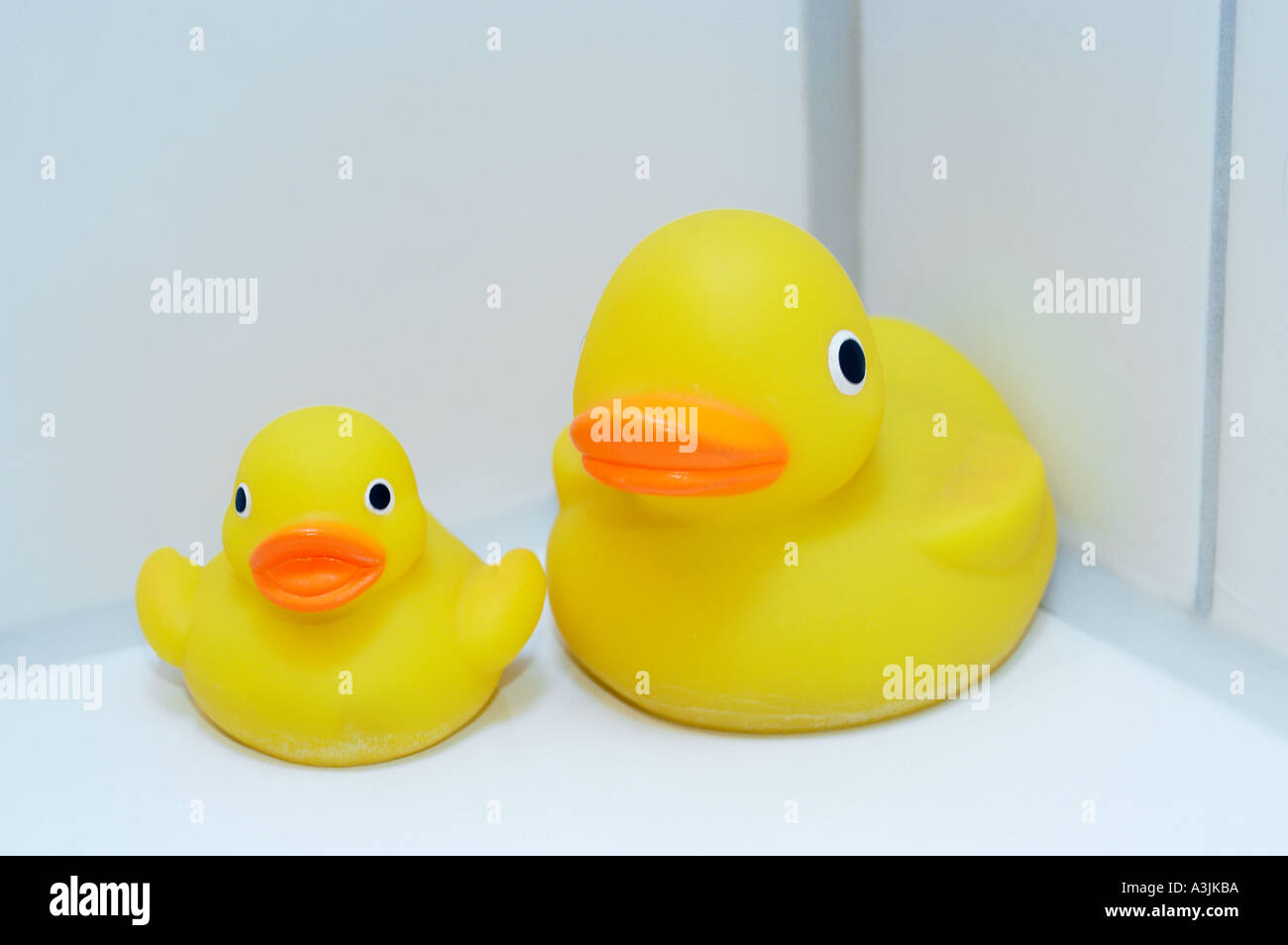 Old rubber duck hi-res stock photography and images - Alamy