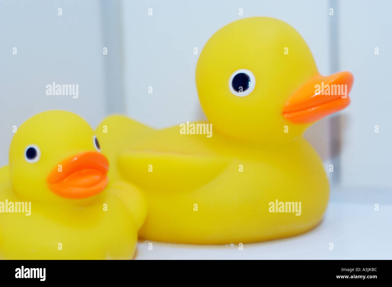Old rubber duck hi-res stock photography and images - Alamy