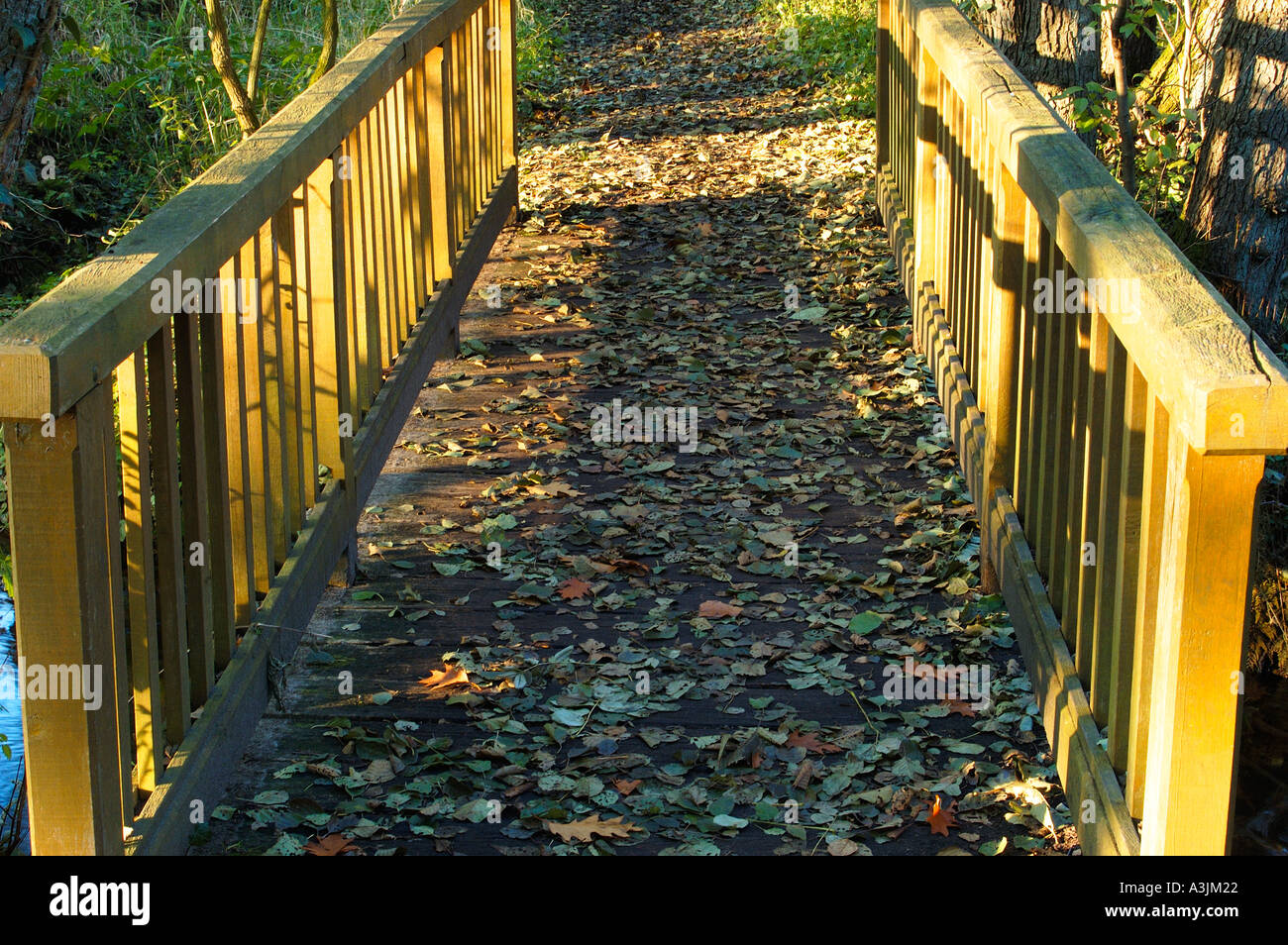 Small wooden bridge Stock Photo - Alamy