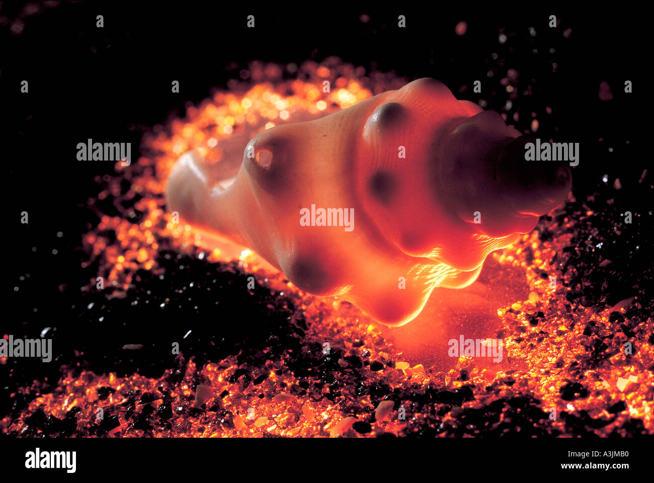 Shell advertisement hi-res stock photography and images - Alamy