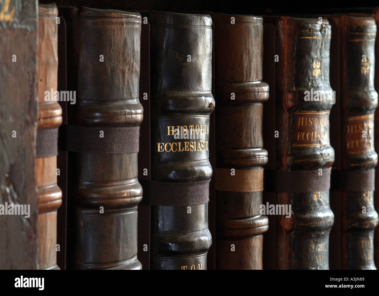 Books in the Bodleian Library, Oxford Stock Photo - Alamy