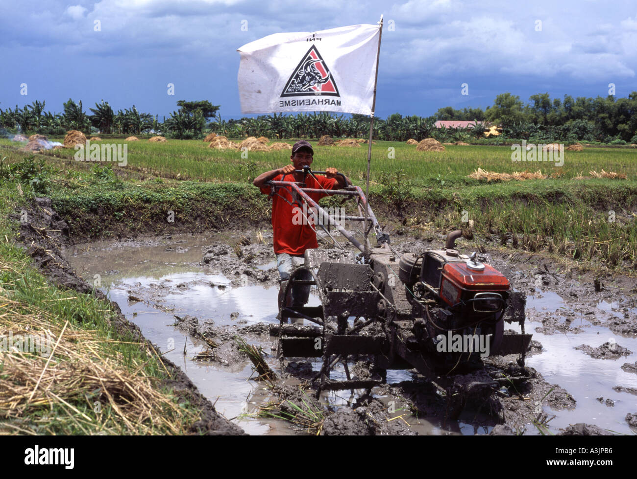 local man with a primitive plough in a rice field near madiun east java ...