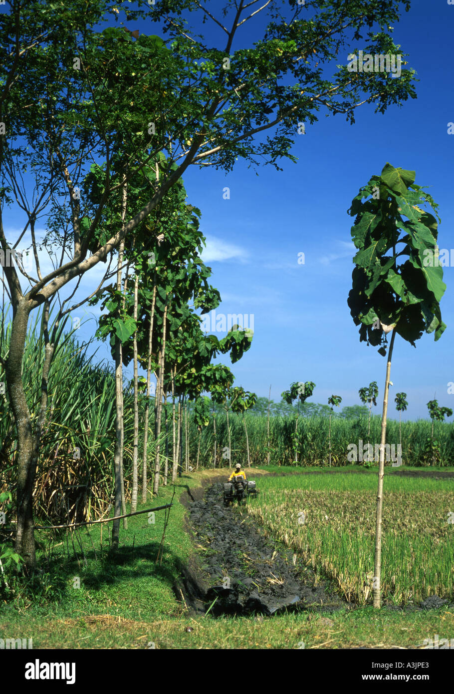 Rotovator High Resolution Stock Photography and Images - Alamy