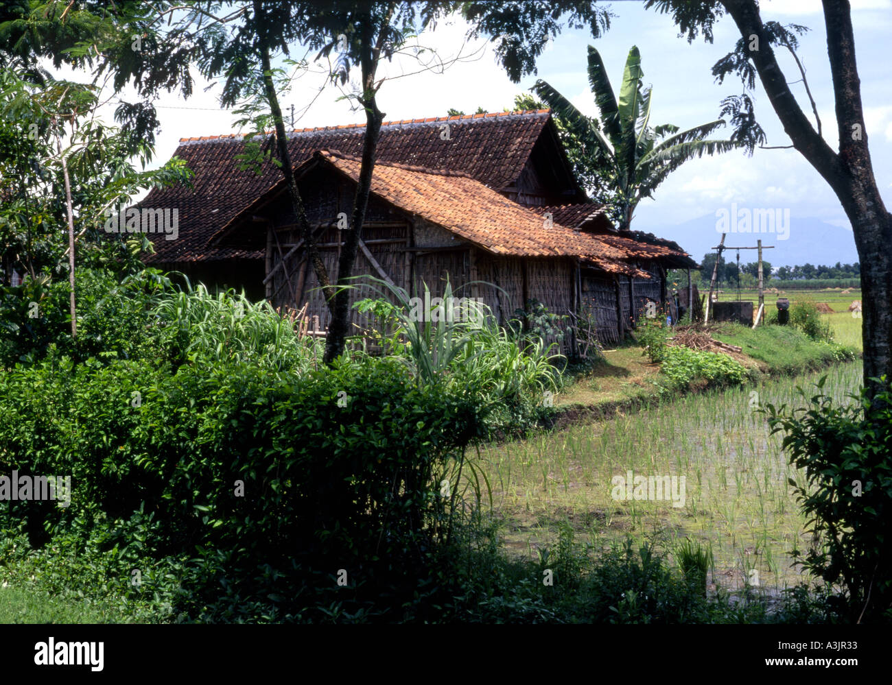 Traditional rural house in a small village near Madiun East Java ...