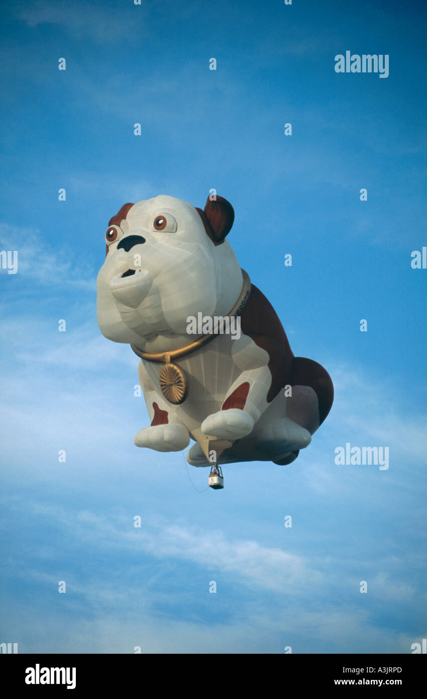 Flying bulldog hi-res stock photography and images - Alamy