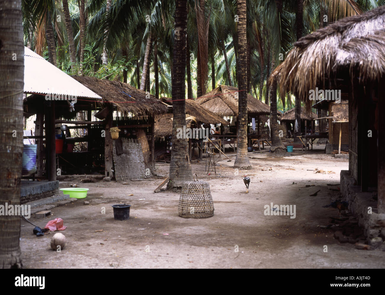 small traditional village hidden away in a jungle south lombok ...