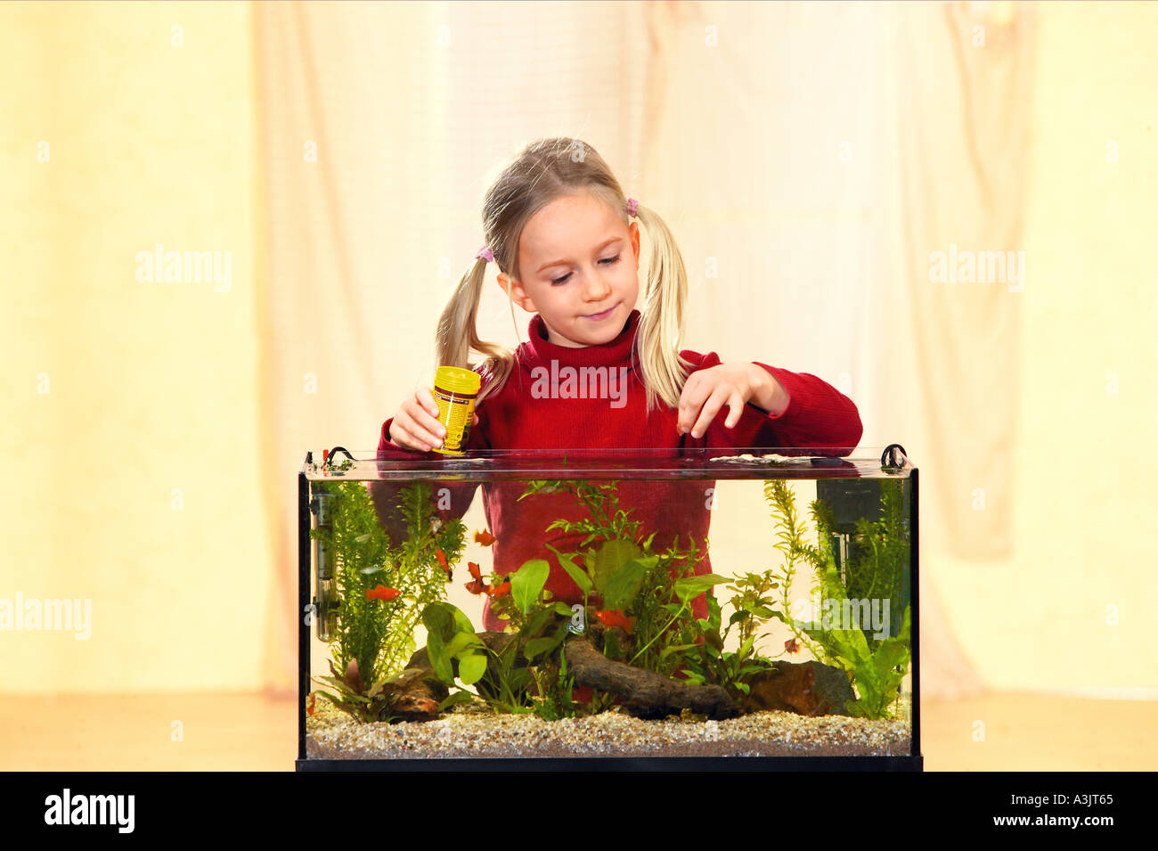 girl standing in front of aquarium - feeding fishes Stock Photo - Alamy