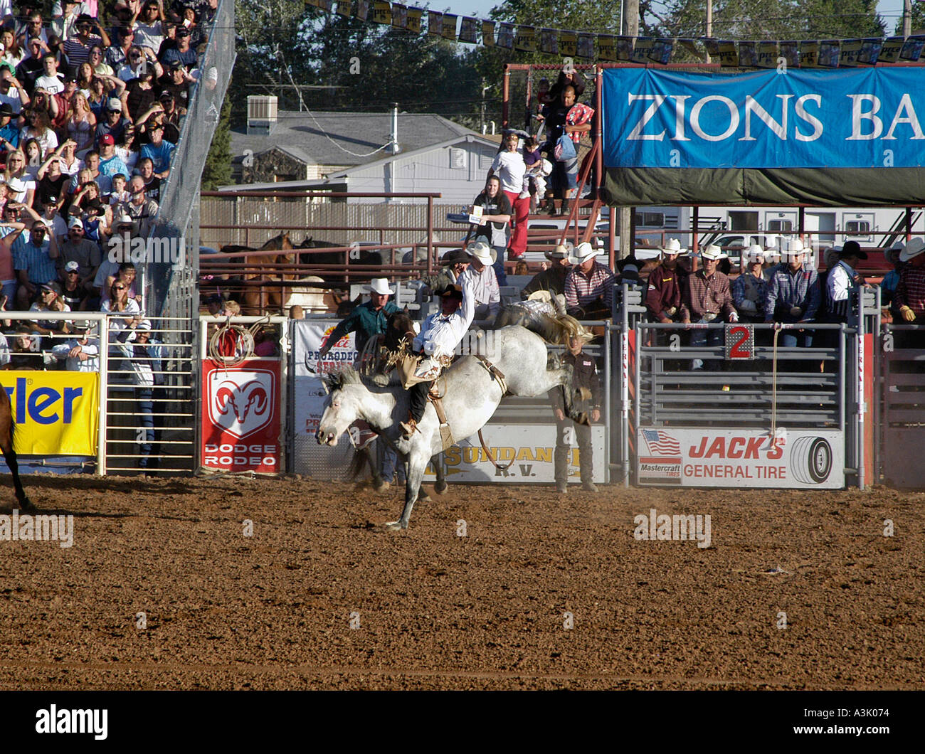Cowboy riding a horse at a Rodeo in Vernal Utah USA Stock Photo - Alamy