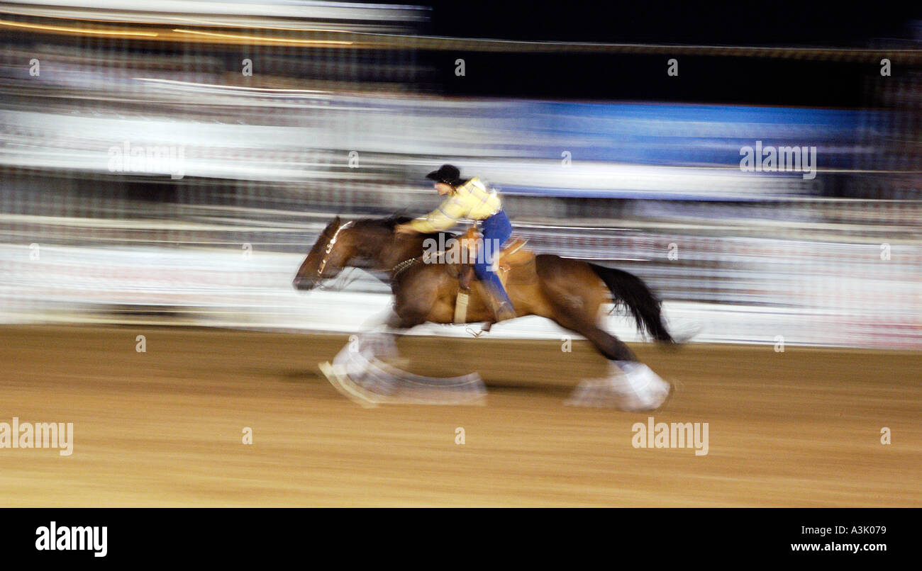 Punishment horse hi-res stock photography and images - Alamy