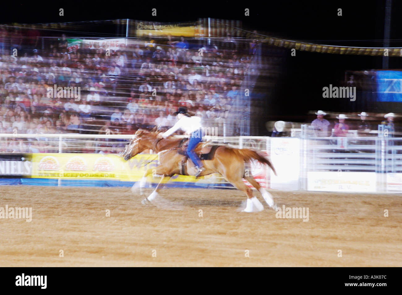Cowboy riding a horse at a Rodeo in Vernal Utah USA Stock Photo - Alamy