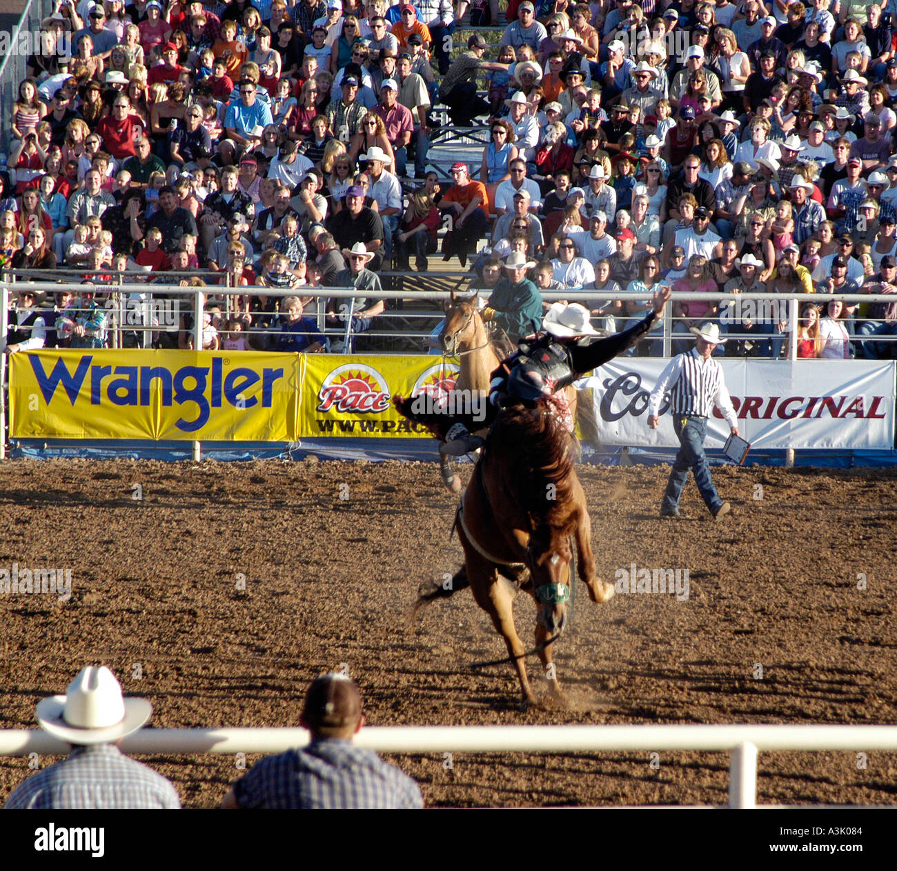 Horse behaviors hi-res stock photography and images - Alamy