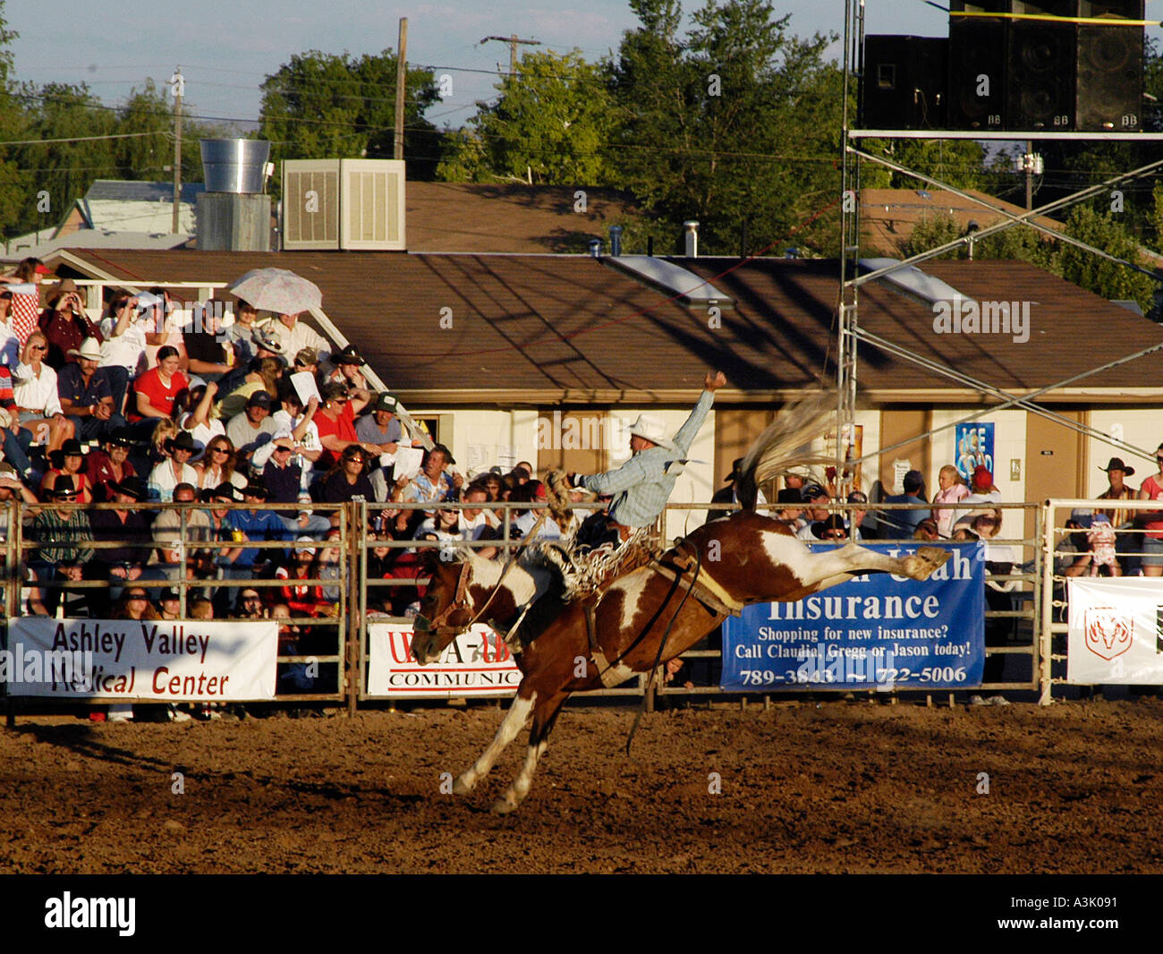 Horse behaviors hi-res stock photography and images - Alamy
