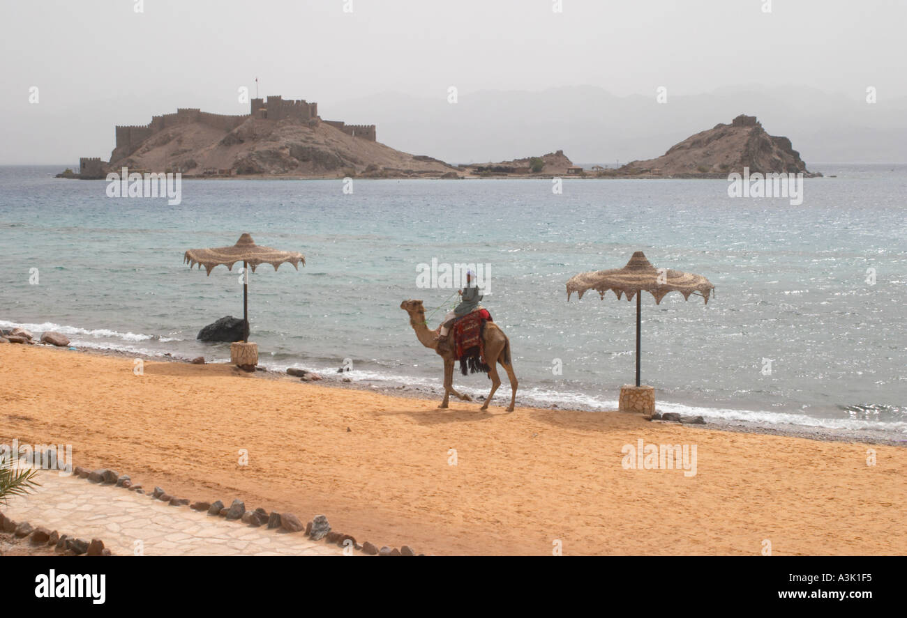 Pharaoh s Island Taba Sinai Peninsula Egypt Stock Photo - Alamy