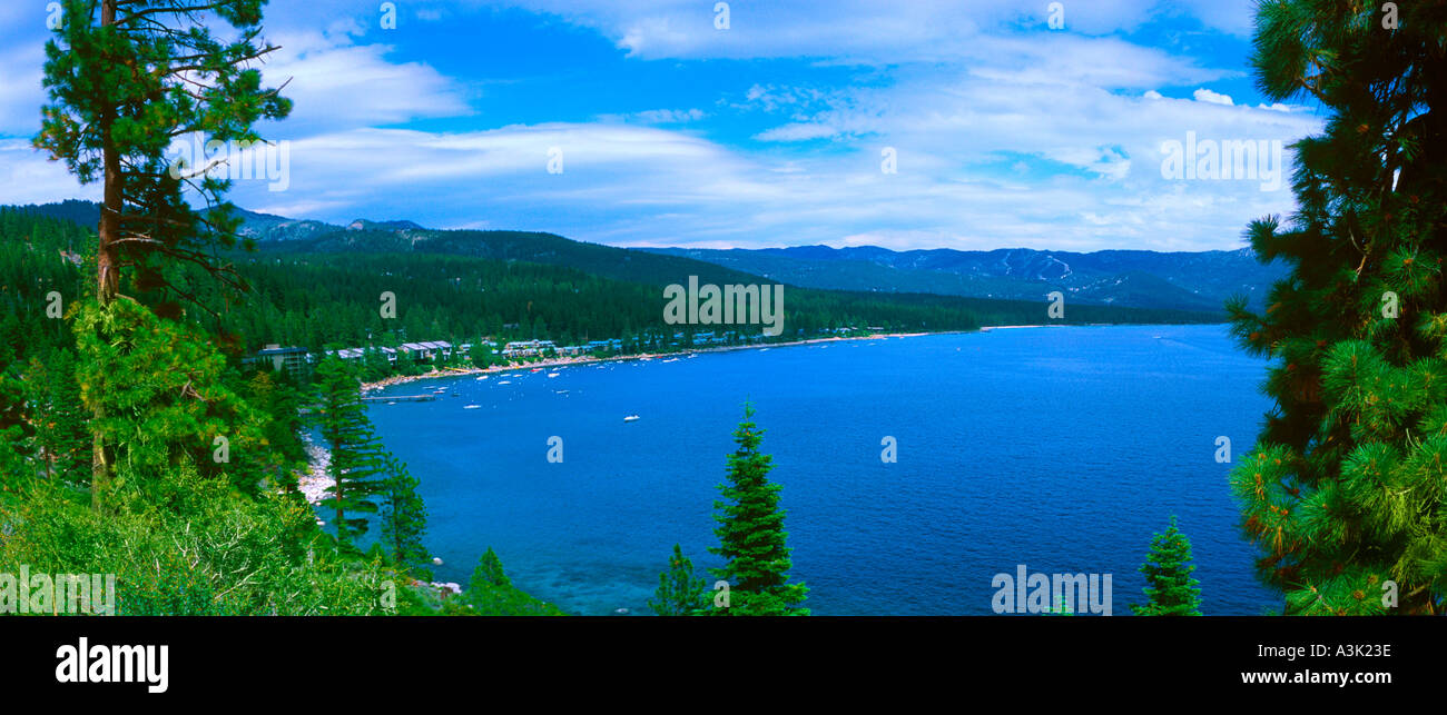 Tahoe trees near Sand Beach Lake Tahoe Nevada Stock Photo - Alamy