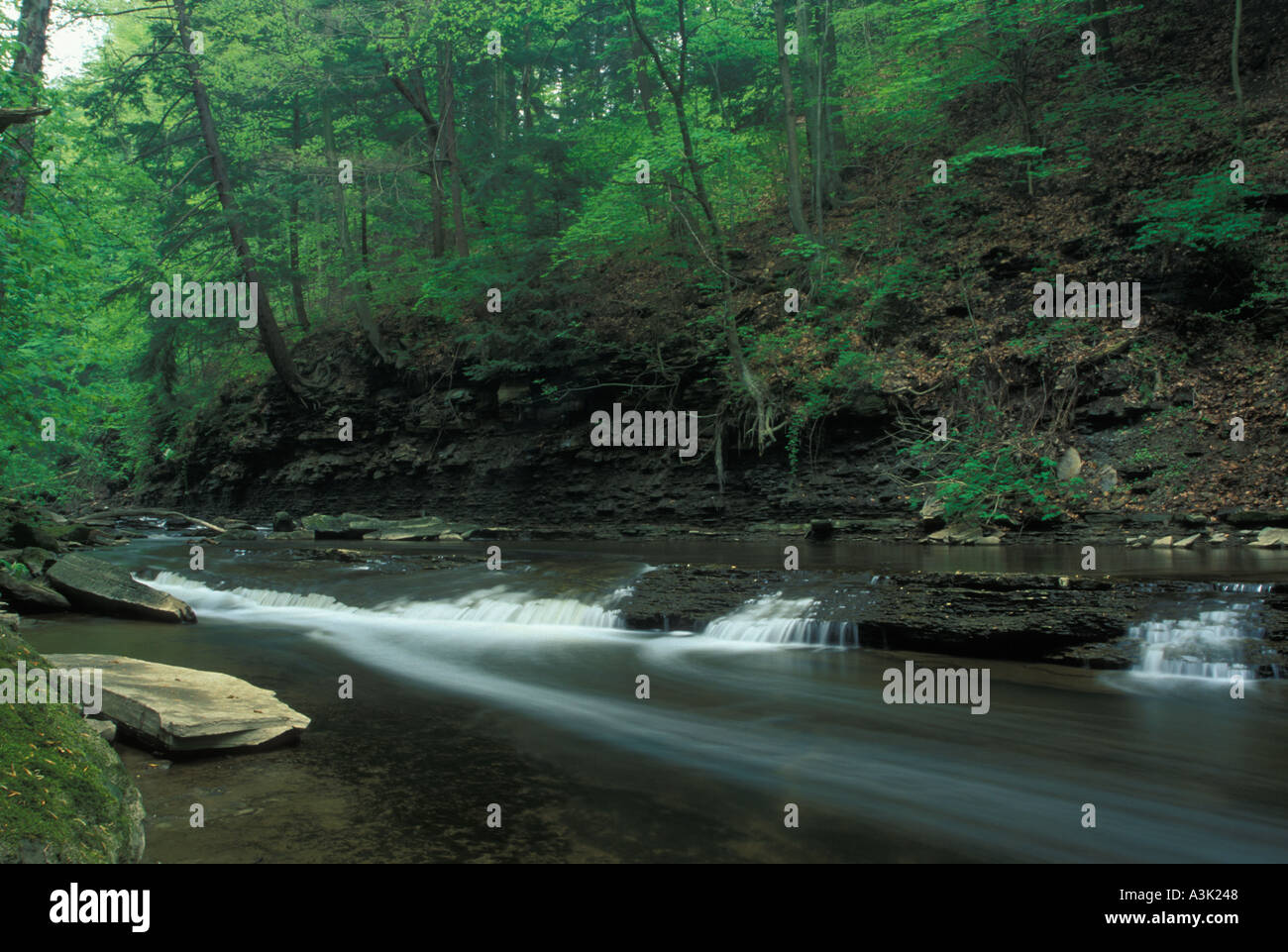The brandywine creek hi-res stock photography and images - Alamy