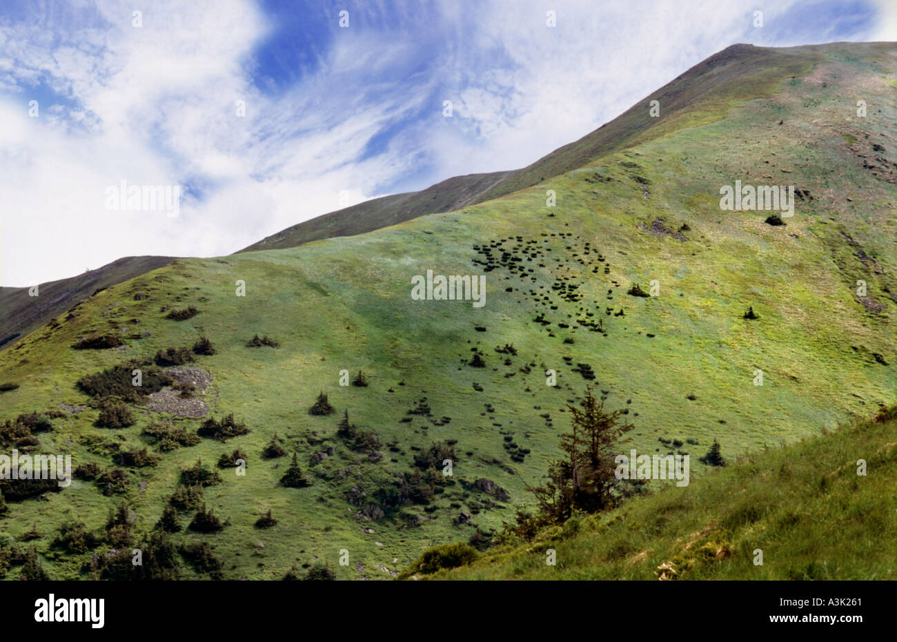 Velka chochula hi-res stock photography and images - Alamy