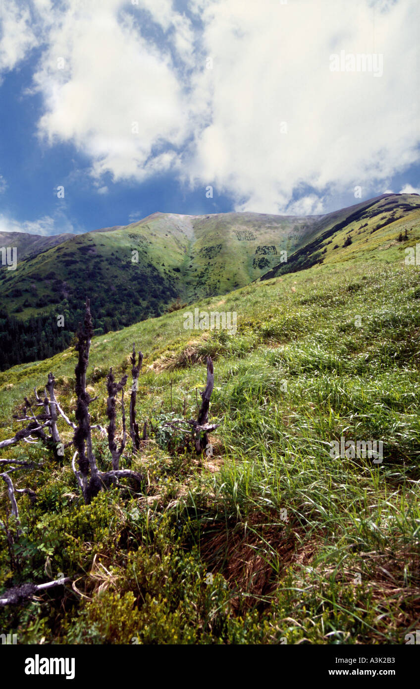 Velka chochula hi-res stock photography and images - Alamy