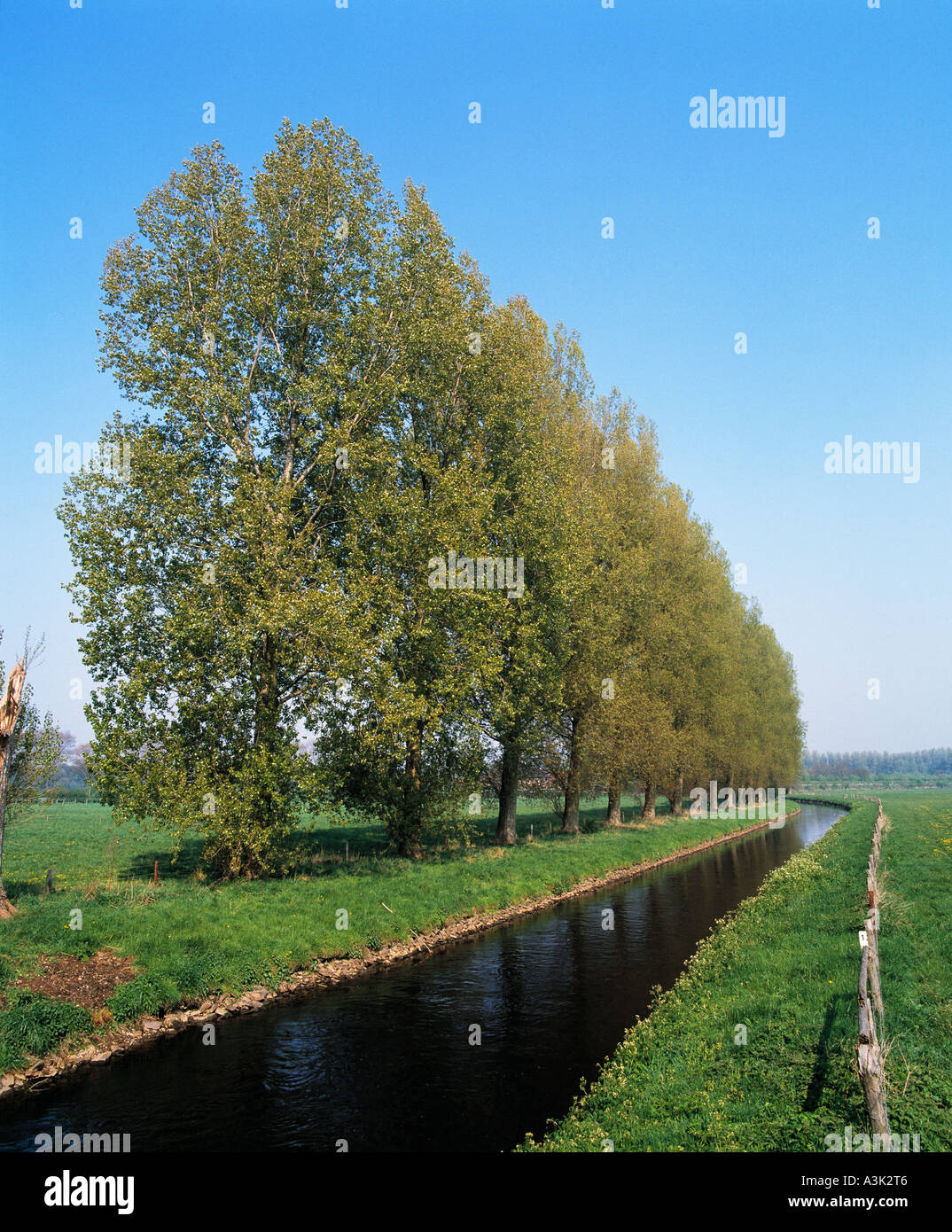 Niederrheinlandschaft hi-res stock photography and images - Alamy