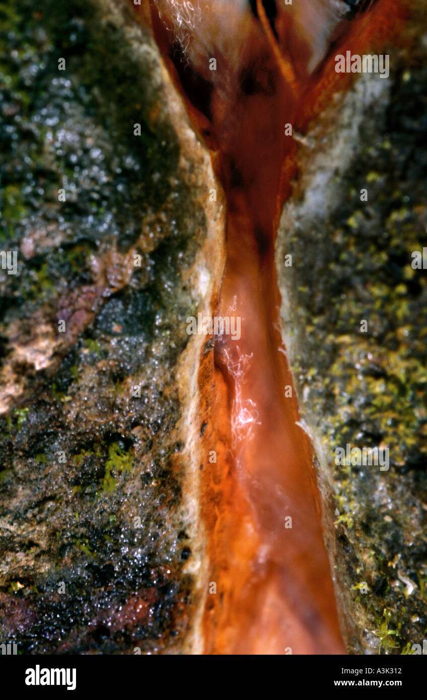 Red channel hi-res stock photography and images - Alamy