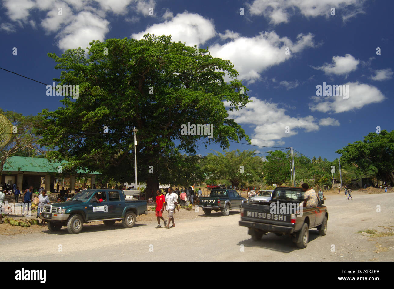 Market in Lenakel on tanna island in Vanuatu Stock Photo - Alamy