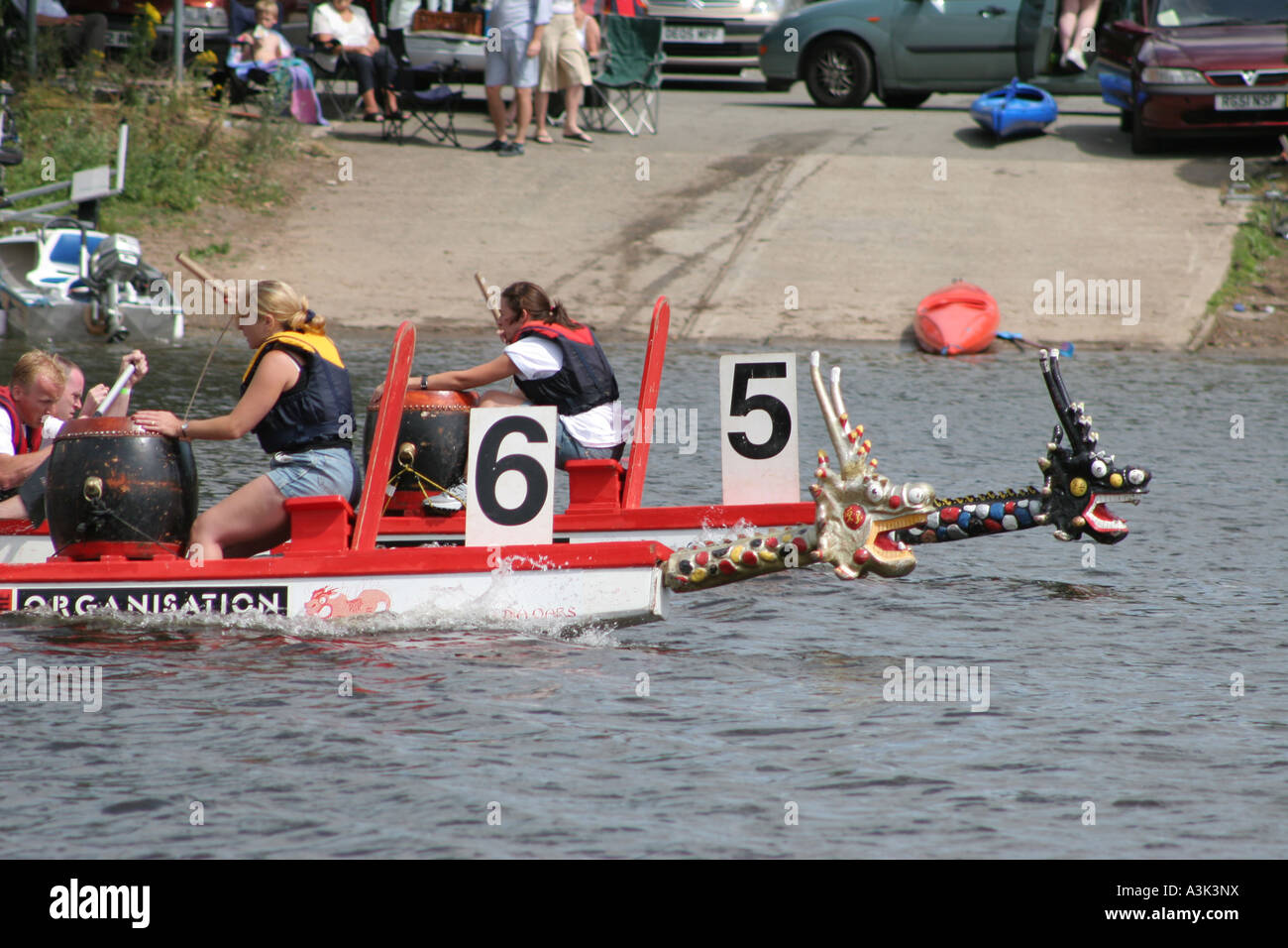Dragon Boat Racing on the River Dee at Chester Stock Photo - Alamy