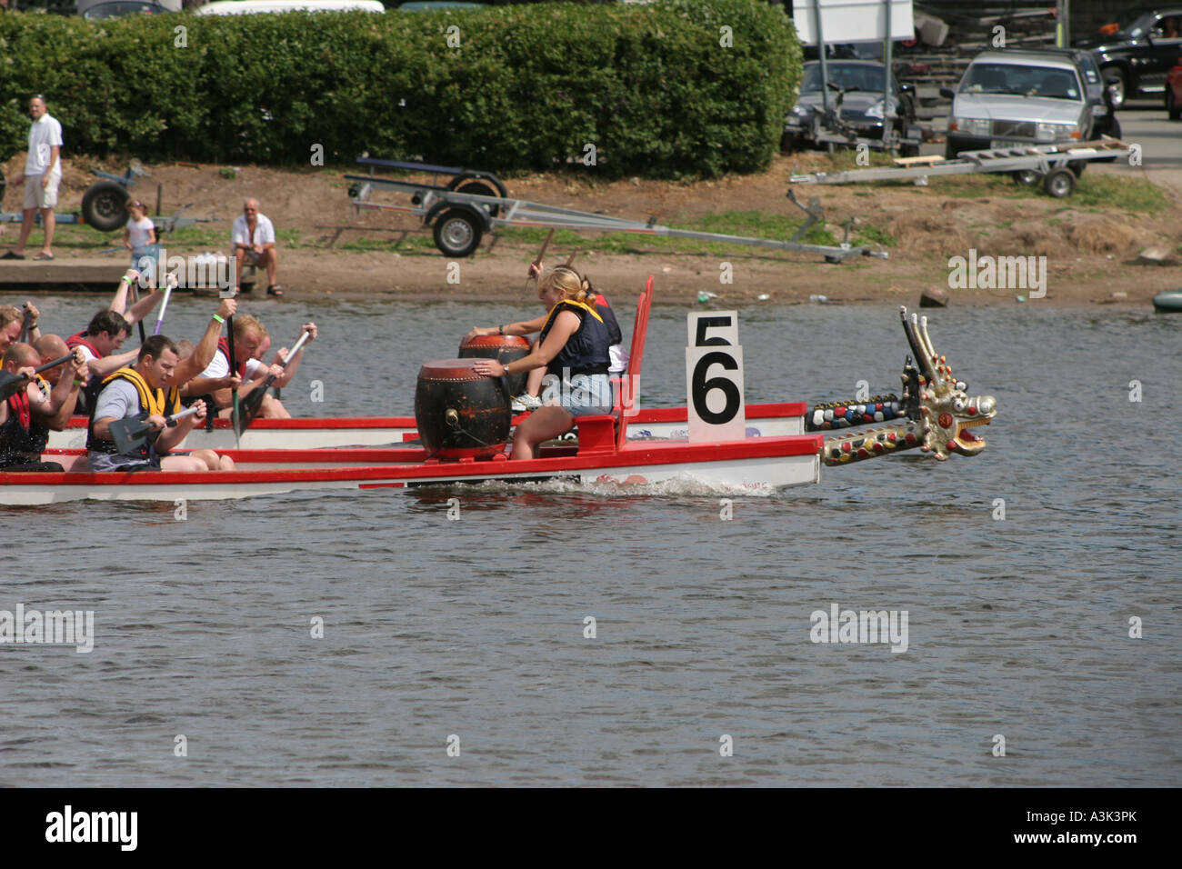 Dragon Boat Racing on the River Dee at Chester Stock Photo - Alamy