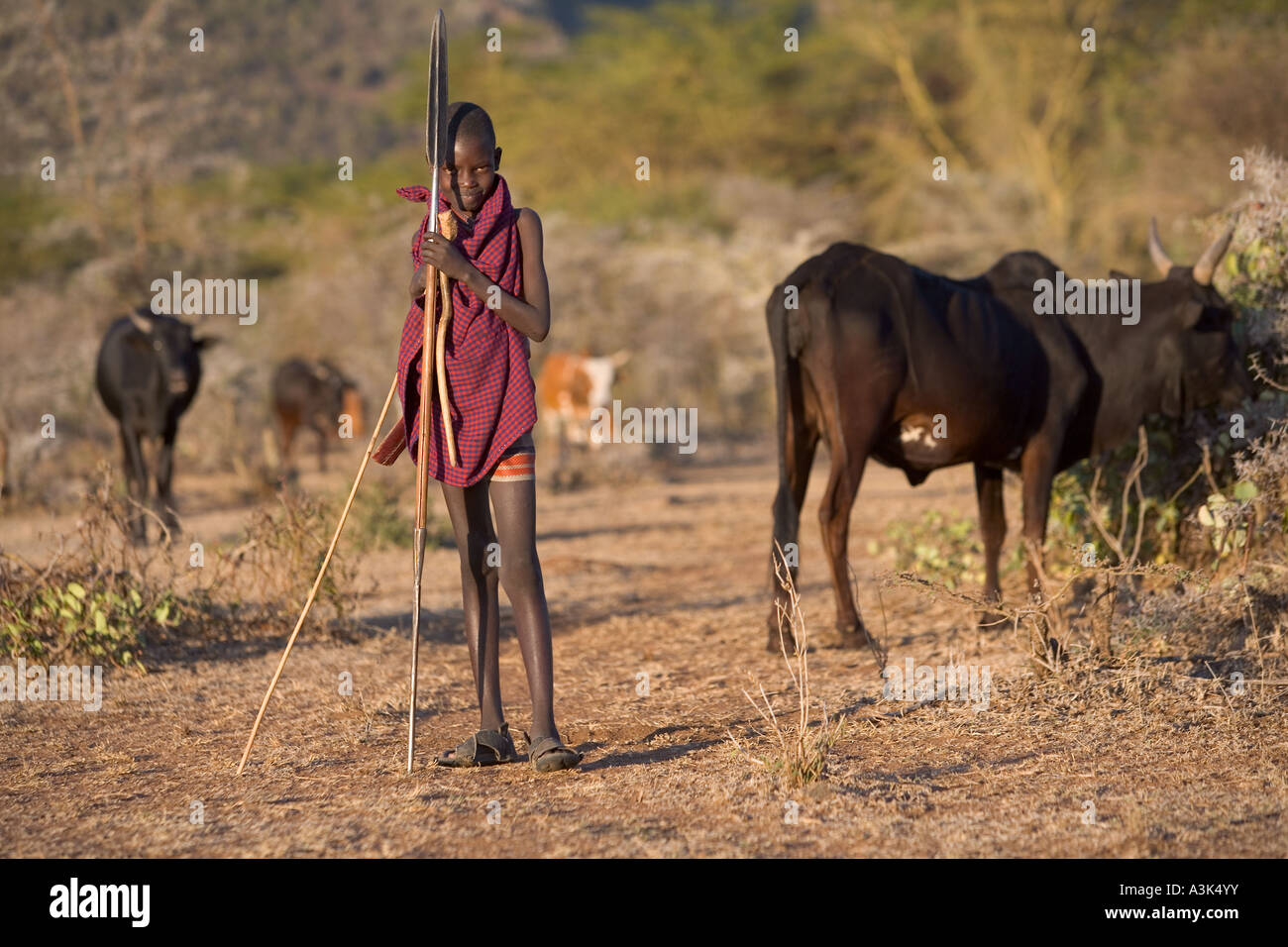 Maasai Masai Mara Kenya Stock Photo - Alamy