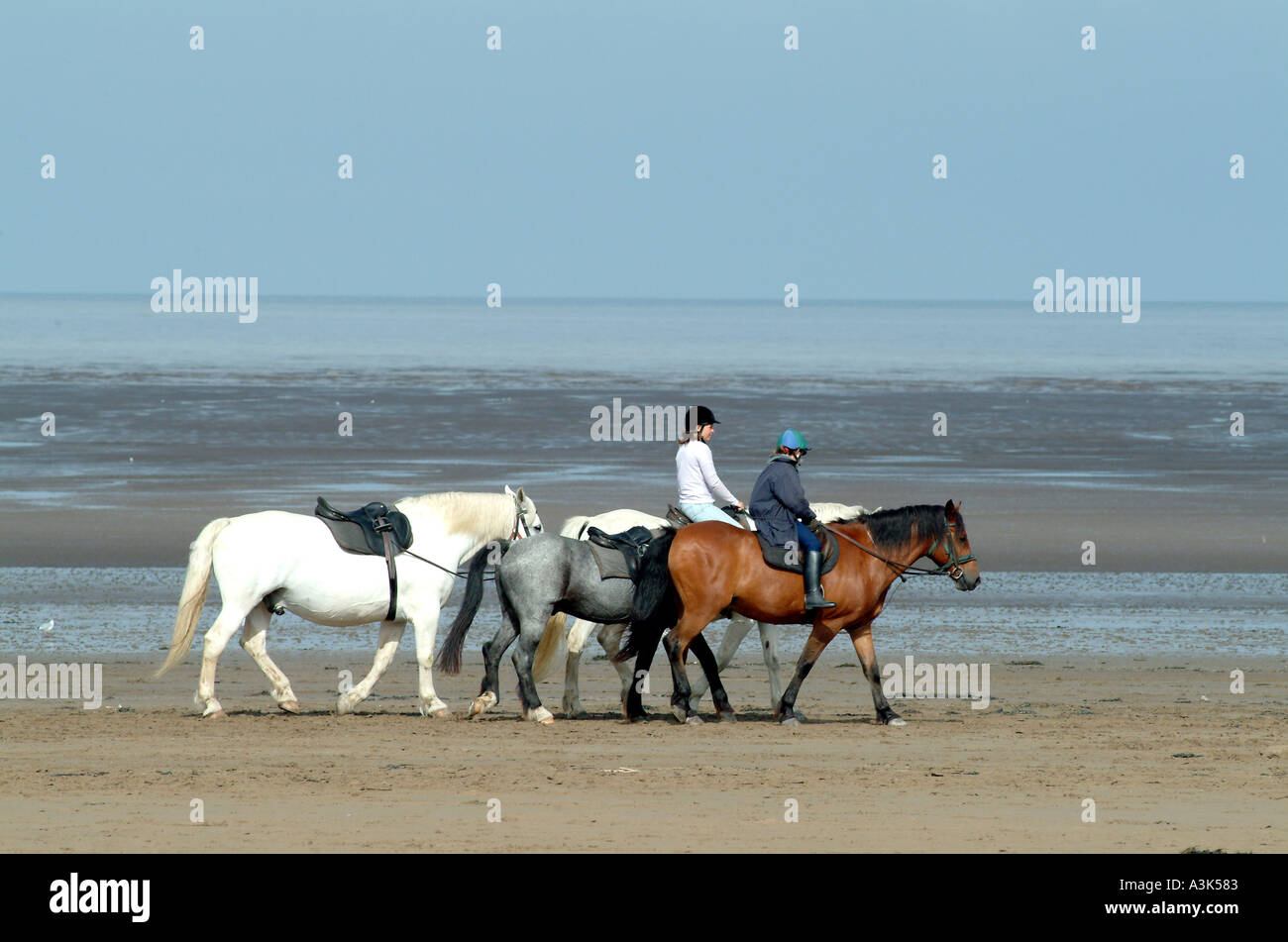 Children with ponies hi-res stock photography and images - Alamy