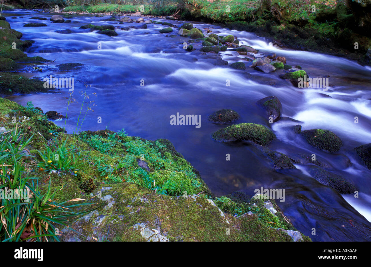 River Plym Dartmoor Devon UK Stock Photo - Alamy