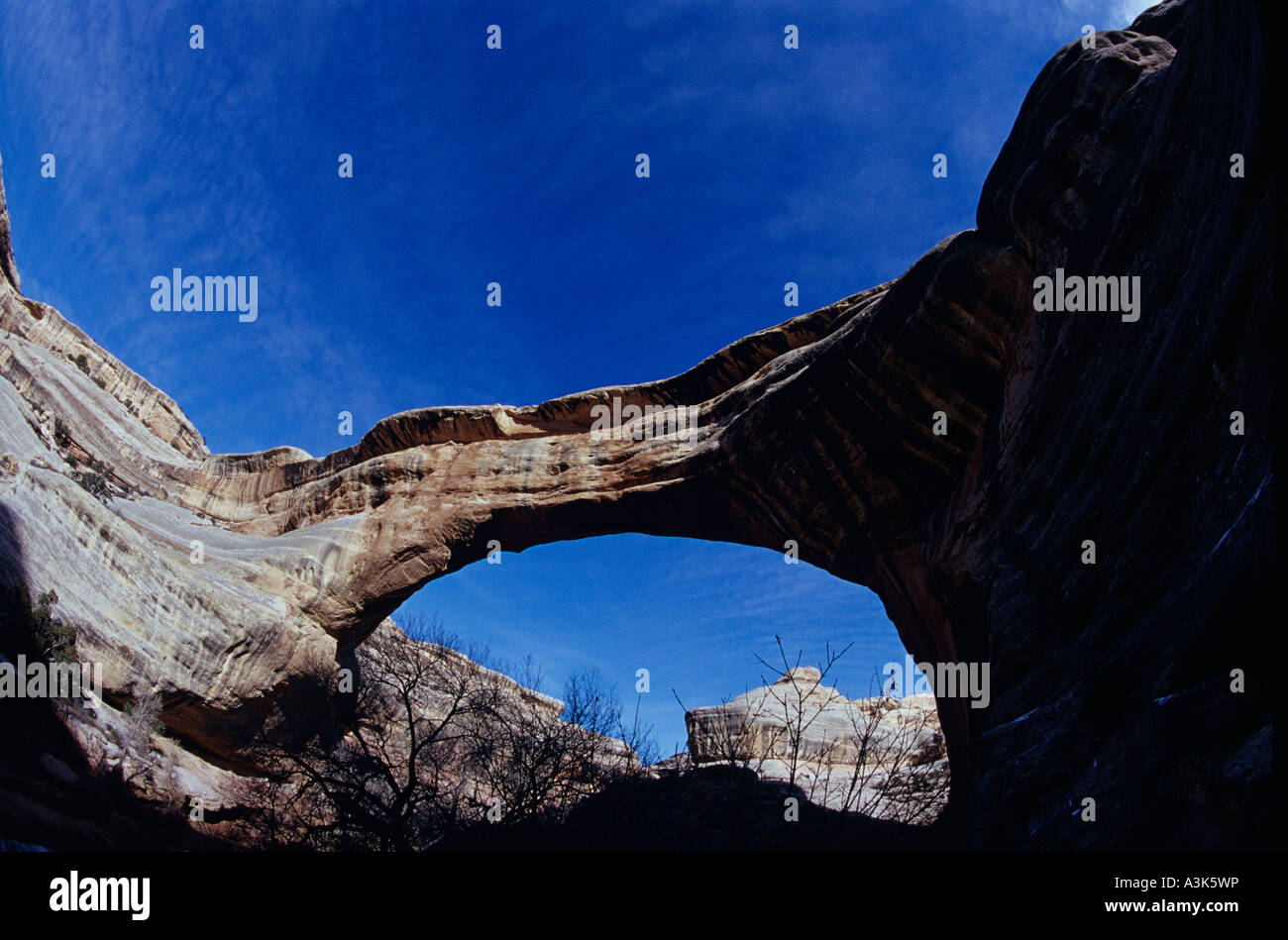 bridge in the desert Stock Photo - Alamy