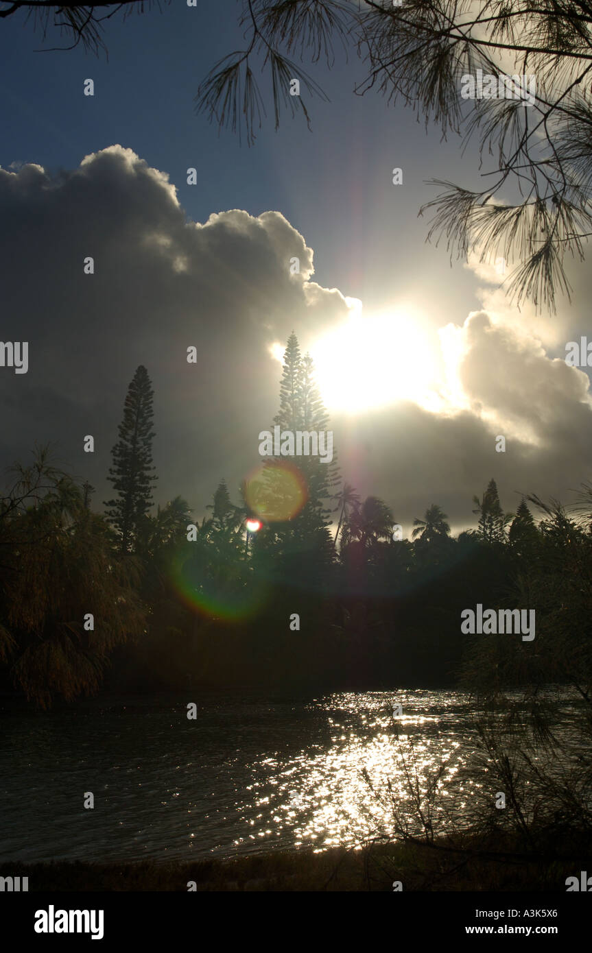 La piscine naturelle Ile de Pins New Caledonia with the unique pine ...