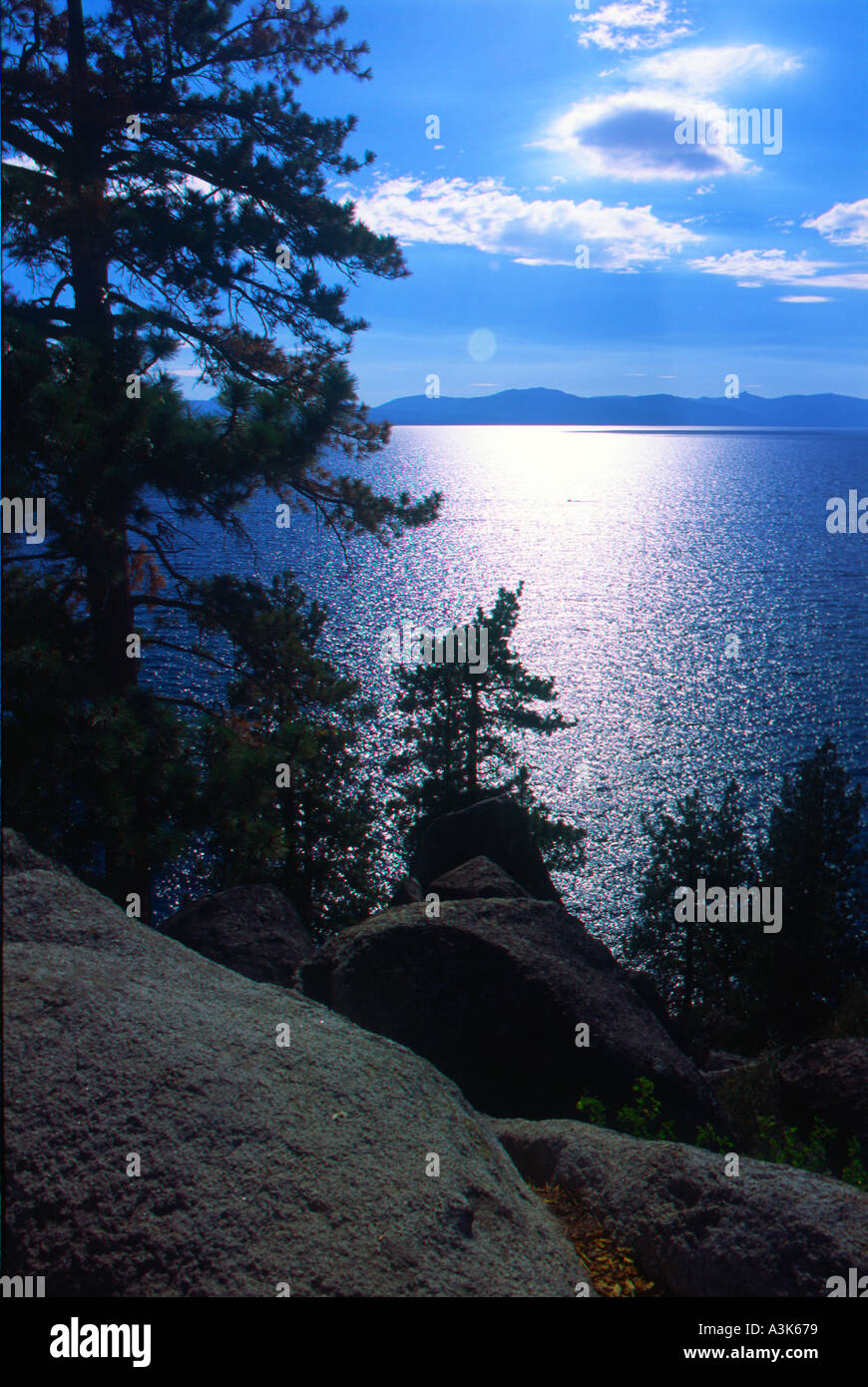 Tahoe trees near Sand Beach Lake Tahoe Nevada Stock Photo - Alamy