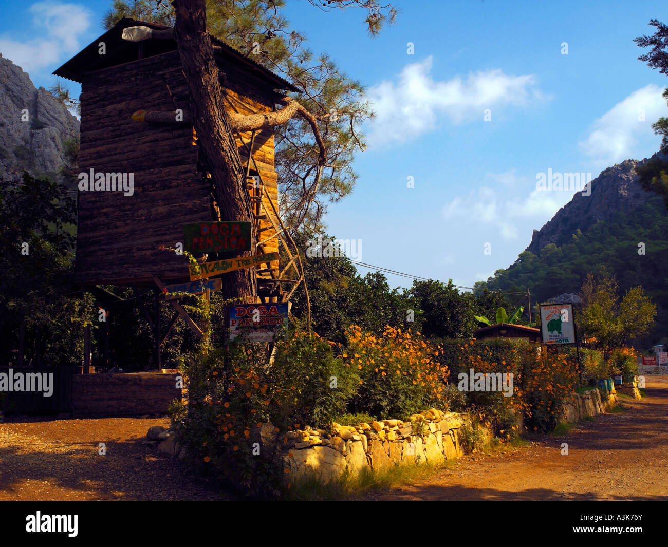 A tree house in Olympos Stock Photo - Alamy