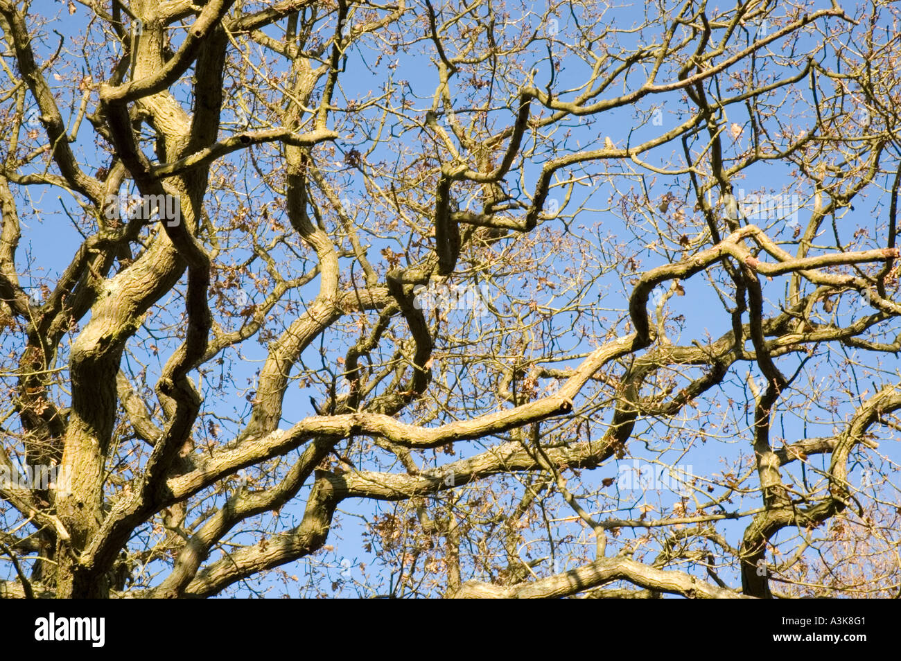 Shotover hill oxford hi-res stock photography and images - Alamy