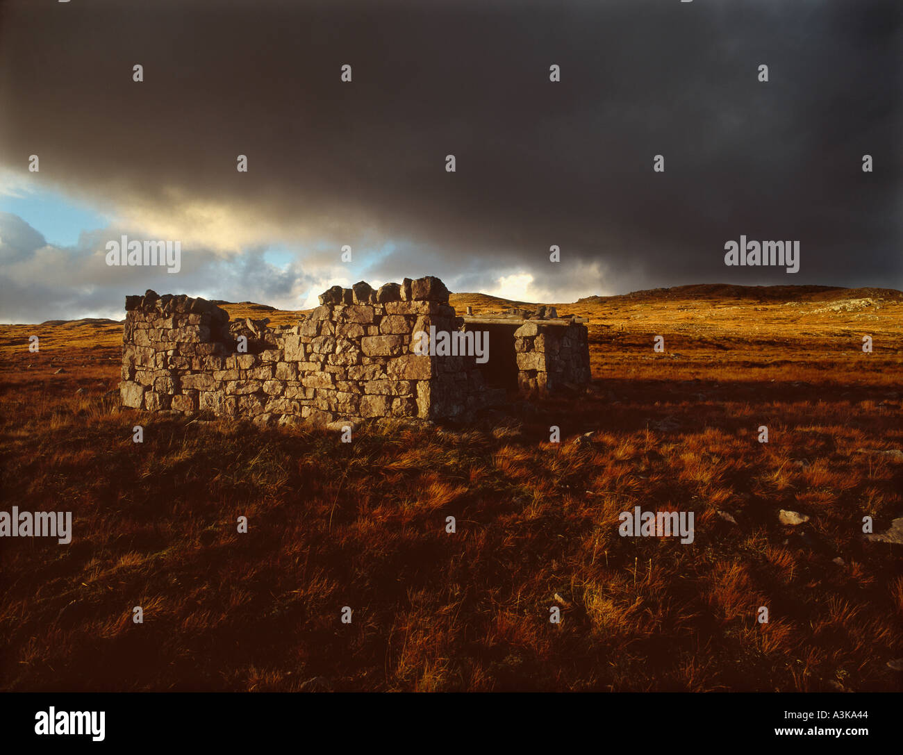 Ruined croft sutherland hi-res stock photography and images - Alamy