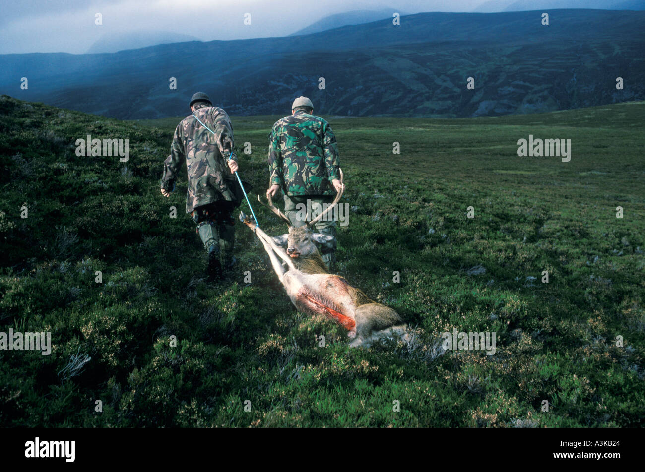 Hunting deer 1980s hi-res stock photography and images - Alamy