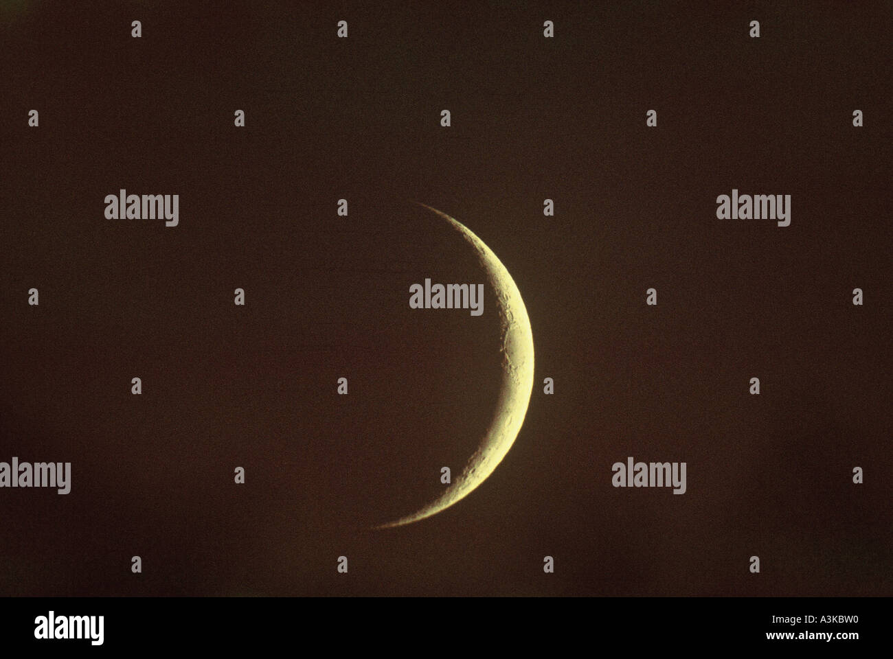 Thin Crescent Moon Stock Photo - Alamy