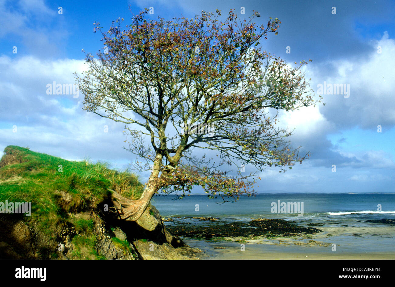 Old head beach mayo hi-res stock photography and images - Alamy