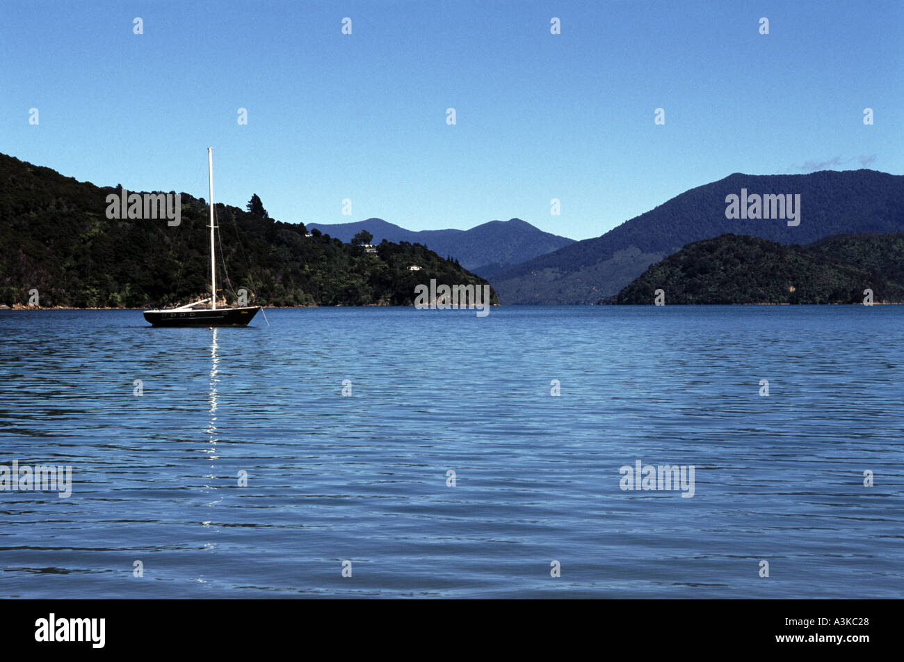 Portage. Queen Charlotte Sound. South Island New Zealand Stock Photo ...