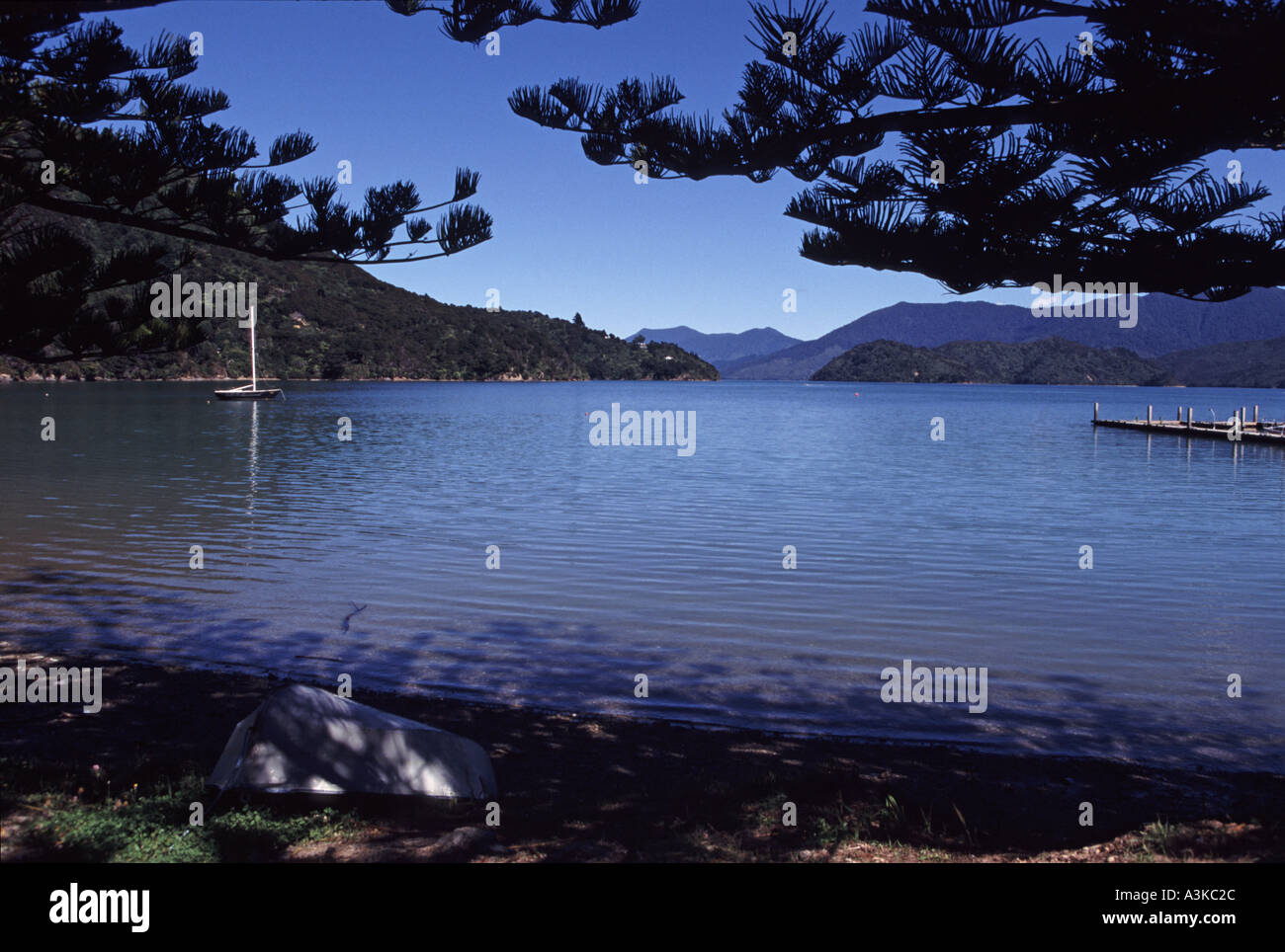 Portage. Queen Charlotte Sound. South Island New Zealand Stock Photo ...