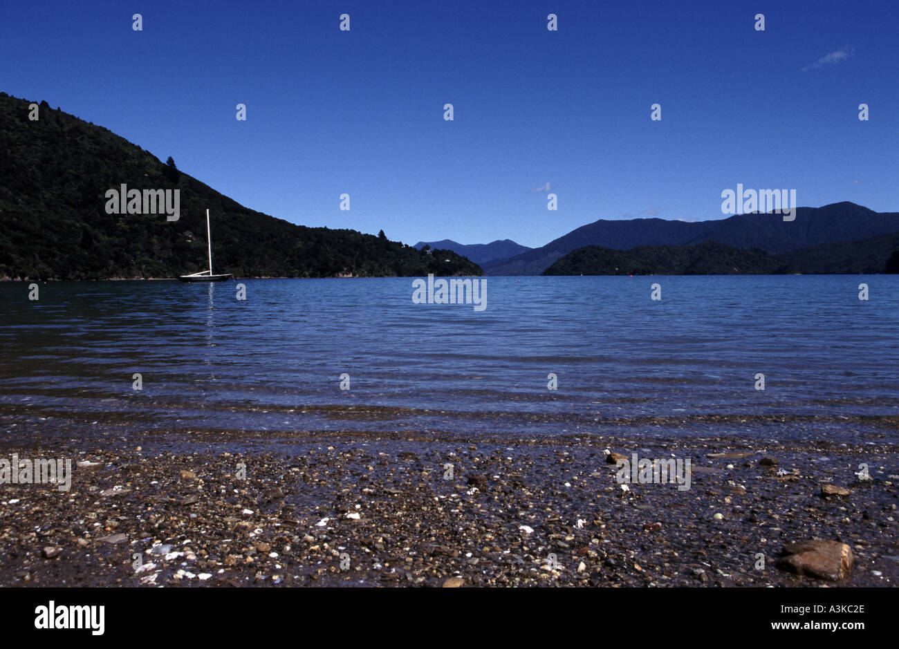 Portage. Queen Charlotte Sound. South Island New Zealand Stock Photo ...